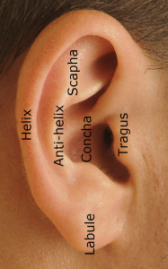 Precise Otoplasty Surgery for Prominent Ears in San Diego